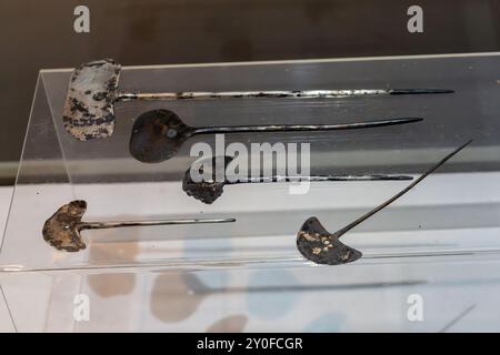 Pre-Hispanic Amerindian metal artifacts in the Pio Pablo Diaz ...