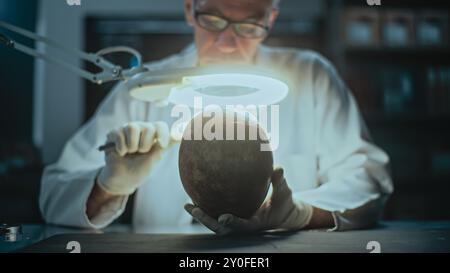 Senior archaeologist takes measurements of fossil skull using ...