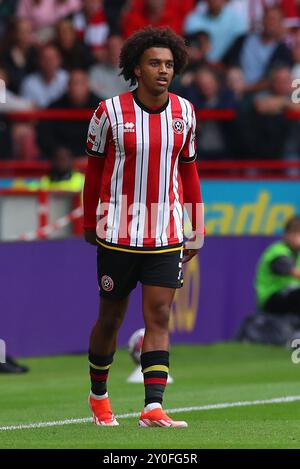 Sam McCallum of Sheffield United during the Sky Bet Championship match ...
