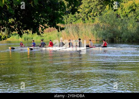 Coxed eight shell scull (eight-man crew with single oars) cox. River ...