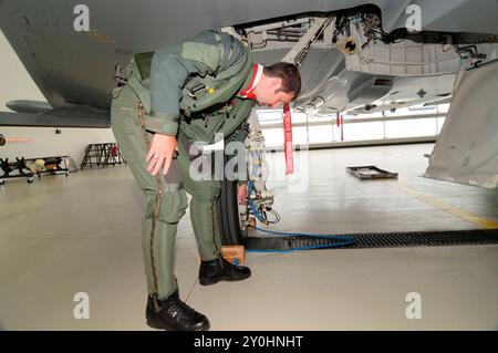 pilot,commander in military aviation pilot or commander at the air ...