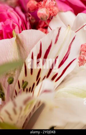 using different types of flowers to create a small bouquet for a ...