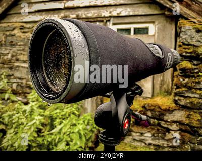 Air rifle with riflescope Stock Photo - Alamy