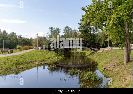 A wooden bridge crosses a stream under the autumnal trees of the forest ...