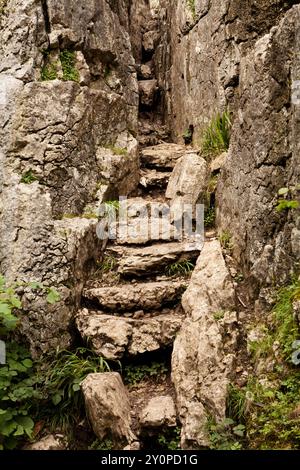 Beetham Fairy Steps Stock Photo - Alamy