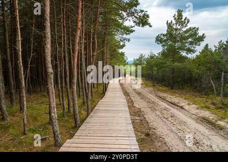 Trail to observation deck on Olenya Buda dunes with views of Swan Lake ...