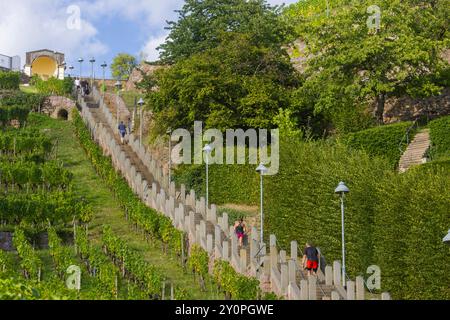 Radebeul: tower Bismarckturm in , Sachsen, Saxony, Germany Stock Photo ...