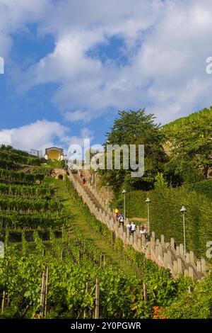 Radebeul: tower Bismarckturm in , Sachsen, Saxony, Germany Stock Photo ...