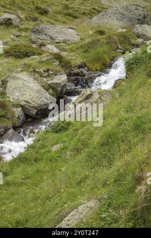 Narrow brook landscape photo Stock Photo - Alamy