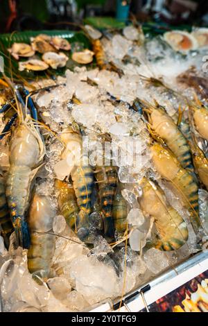 Fresh raw prawn, premium grade, on display at seafood market in Bangkok ...