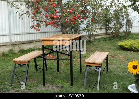 Wooden table with benches in apple garden Stock Photo - Alamy