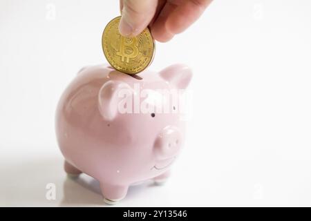 Bitcoins in hand on a pink background close up Stock Photo - Alamy