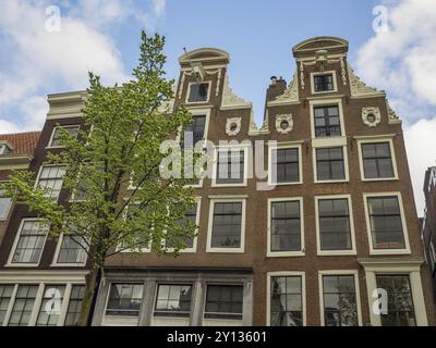 Historic buildings with striking facades and trees in front, Amsterdam ...