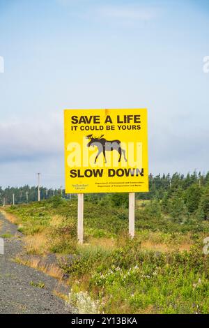 Moose warning sign on Trans Canada highway in Goobies, Newfoundland ...