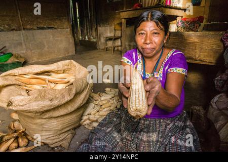 Quiché woman drying corn cobs , Sanuch village, Lancetillo, La ...