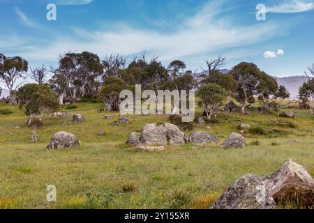 A tranquil moment in Namadgi National Park reveals a striking landscape ...