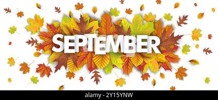 Autumn Foliage Explosion Centre September Autumn foliage on the white ...