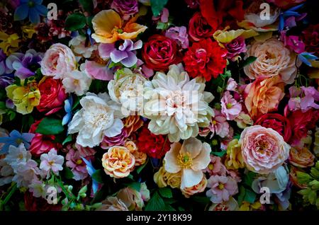 Collection of many colorful spring flowers Stock Photo - Alamy