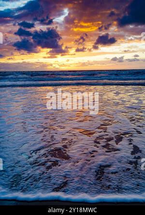 DEN HAAG, NETHERLANDS - NOVEMBER 12: Pepijn van Houwelingen (FVD ...