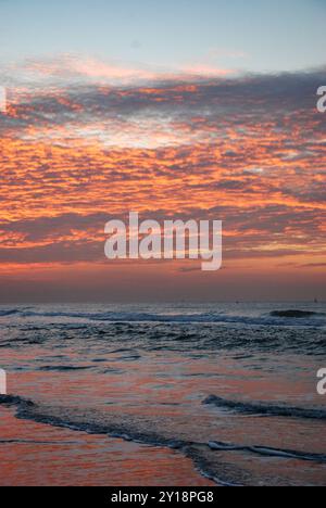 DEN HAAG, NETHERLANDS - NOVEMBER 12: Pepijn van Houwelingen (FVD ...