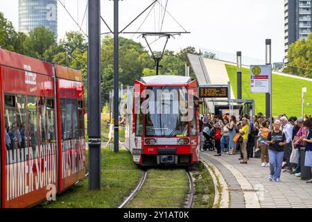 Local transport, Rheinbahn trams, Schadowstrasse stop, North Rhine ...