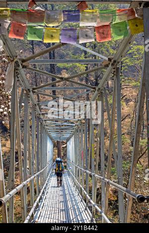 Bridge Langtang Valley Nepal Himalayas Stock Photo - Alamy