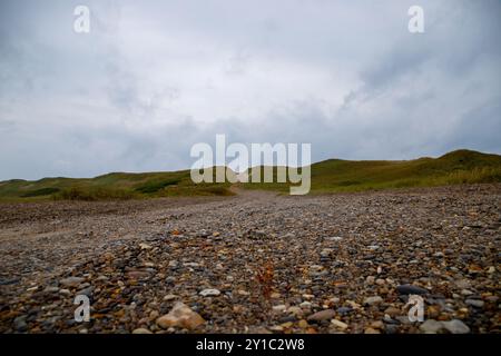 Wet gravel path up to a dune path in Denmark Stock Photo - Alamy