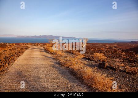 Lake Turkana is a saline lake in the Kenyan Rift Valley, in northern ...