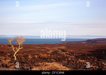 Kenya, Rift Valley, Lake Turkana, view across the lake Stock Photo - Alamy