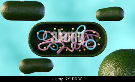 3D Rendering of a cross-section of a bacterial cell, showing its ...