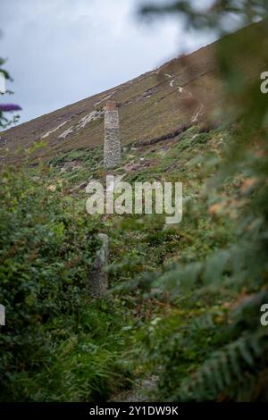 The National Trust, Trevallas Coombe, Cornwall, England, UK Stock Photo ...