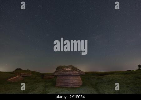 Night landscape, Estonian nature. Kostivere karst zone, starry sky and ...