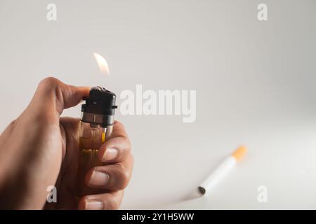 Plain Orange Tip Stock Photo - Alamy