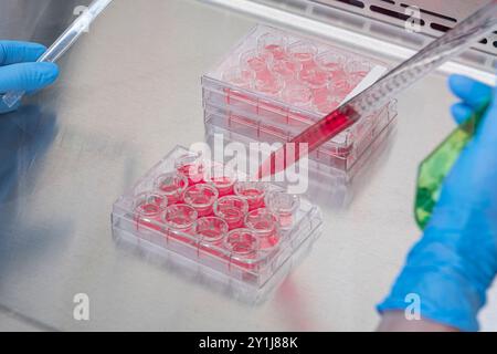 Lab worker using pipet, New Jersey USA Stock Photo - Alamy