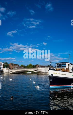 Swans and Princess Marina, Boat, with Caversham Bridge, River Thames ...
