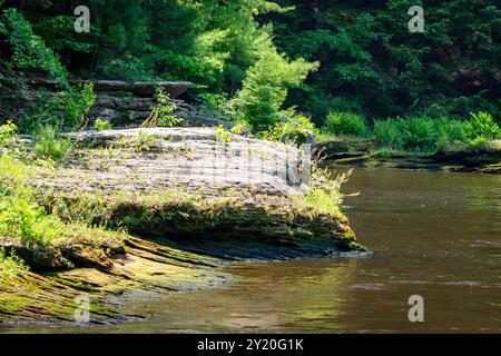 The rocky shoreline of Cambrian sandstone along the Wisconsin River in ...