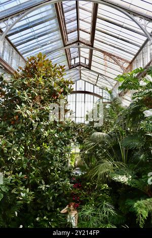 The Palm Room at Helsinki Winter garden, Finland, August 2024 Stock ...