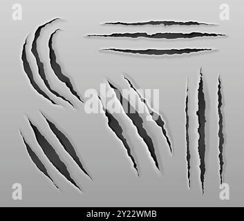Tiger claw scratch on paper vector. Bear paw mark. Lion nail trace ...