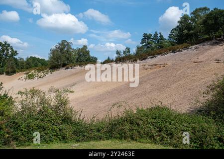 Disused sand pit at Rockford Common in the New Forest, Hampshire ...