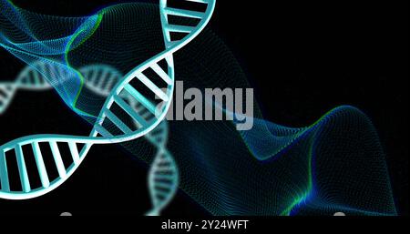 Image of dna structure and digital wave over spinning human brain icon ...