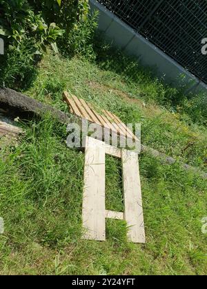 wooden ramps in a meadow over concrete wall Stock Photo - Alamy