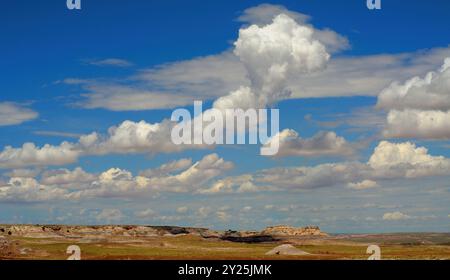 Bleak landscape of the ancient petrified forest national park in ...
