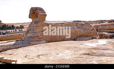 Side view of The Great Sphinx of Giza, Cairo, Egypt Stock Photo - Alamy