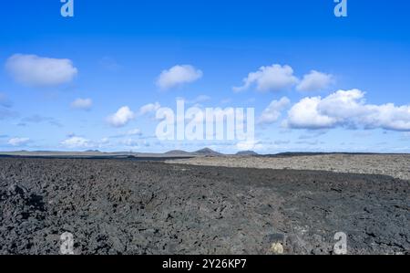 Vibrant lichens grow on the black volcanic rocks, presenting a ...