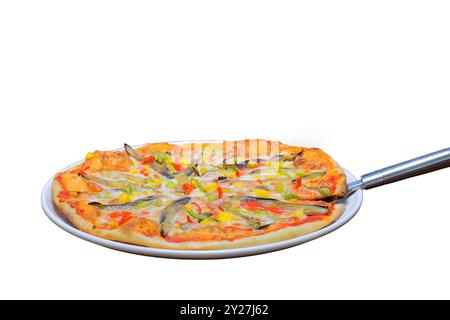 tasty assorted pizza with different fillings: salami, tomatoes ...