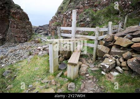 ulster way footpath wooden stile and flock of part shorn sheep in ...