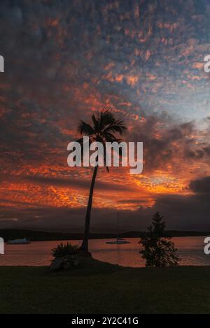 Scenic moody sunset over Port Douglas in Queensland, Australia Stock ...