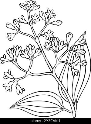 Cinnamon Branch Colored Detailed Illustration Stock Vector Image & Art ...