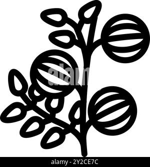 amla ayurvedic herb line icon vector illustration Stock Vector Image ...