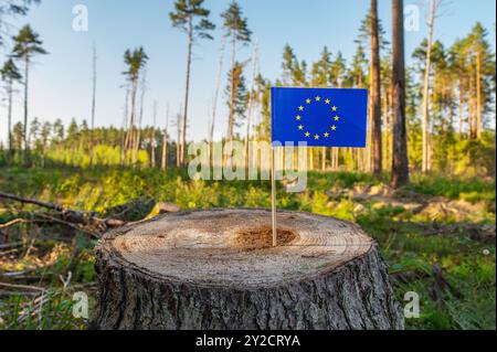 UN Climate Change Conference. Ireland Deforestation. Ecological ...